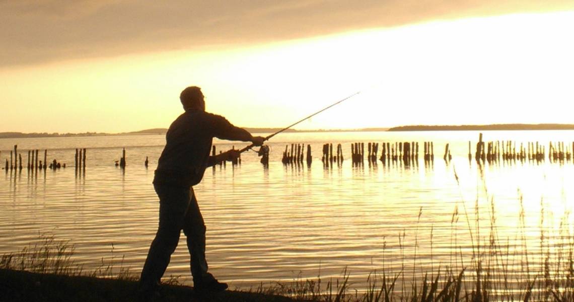 KÖHLER - Der interaktive Fisch-Steckbrief für Angler