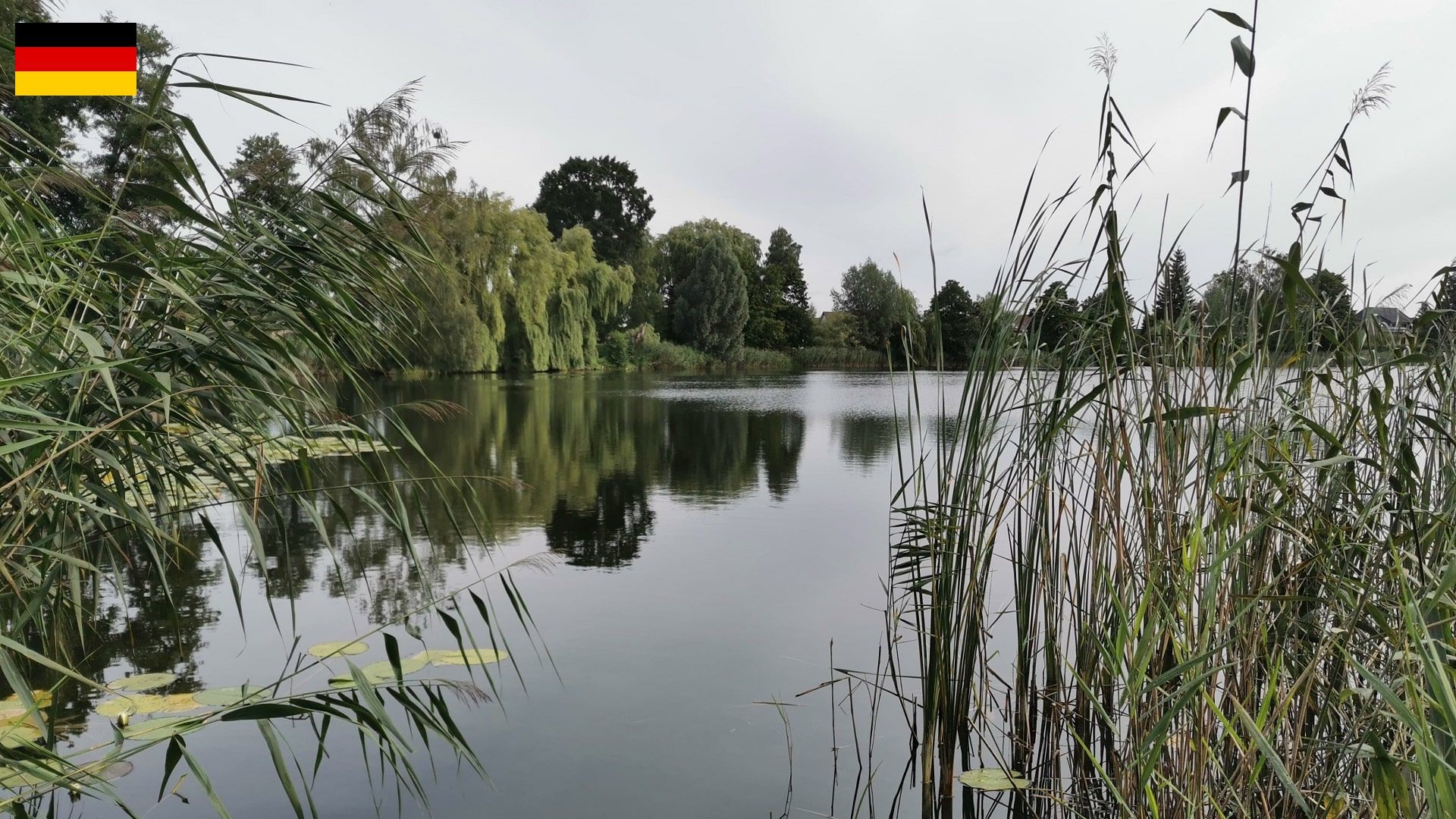 Angeln bei Berlin - TOP-SPOT: Der Mühlensee in Liebenwalde